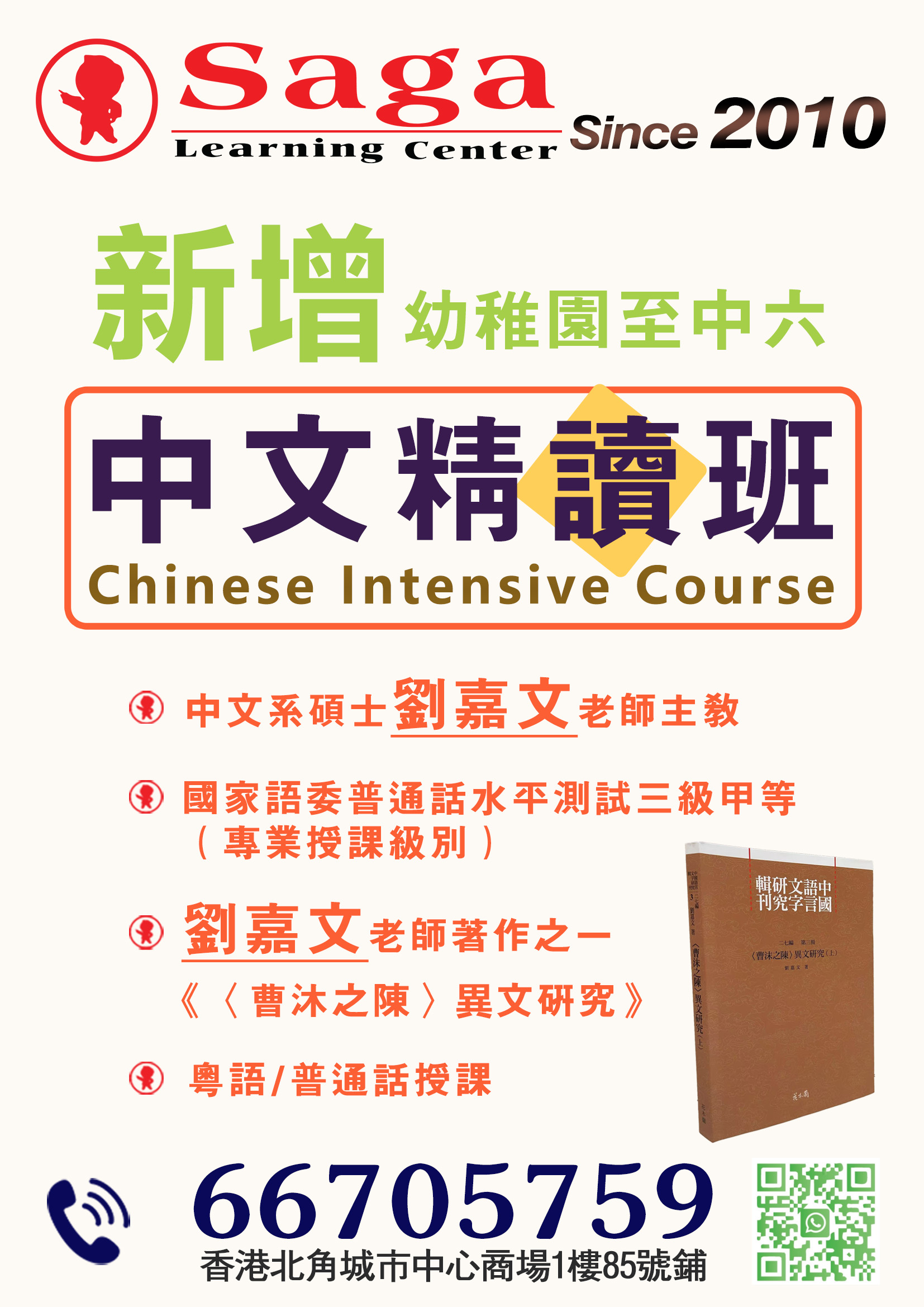 Elite Chinese Intensive Class - Saga Learning Center